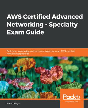 AWS Certified Advanced Networking - Specialty Exam Guide - ScholarVox ...